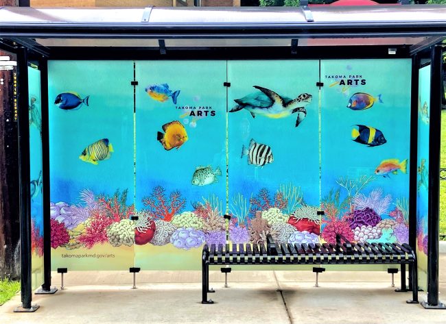 "Coral Reef" Installed at Takoma Park Bus Shelter - The MoCo Show