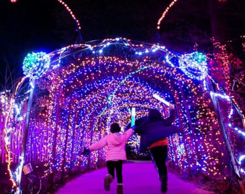 Garden of Lights Winter Lights Display Opens Today - The MoCo Show