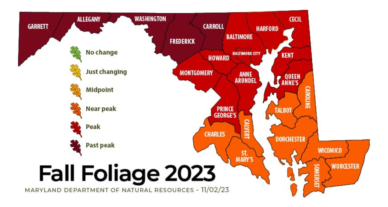 Peak Fall Foliage is Here For Most of Maryland - The MoCo Show