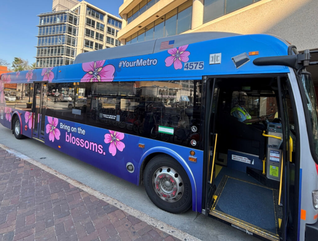 Metro’s Cherry Blossom-Themed Buses and Train Make Their Debut - The ...