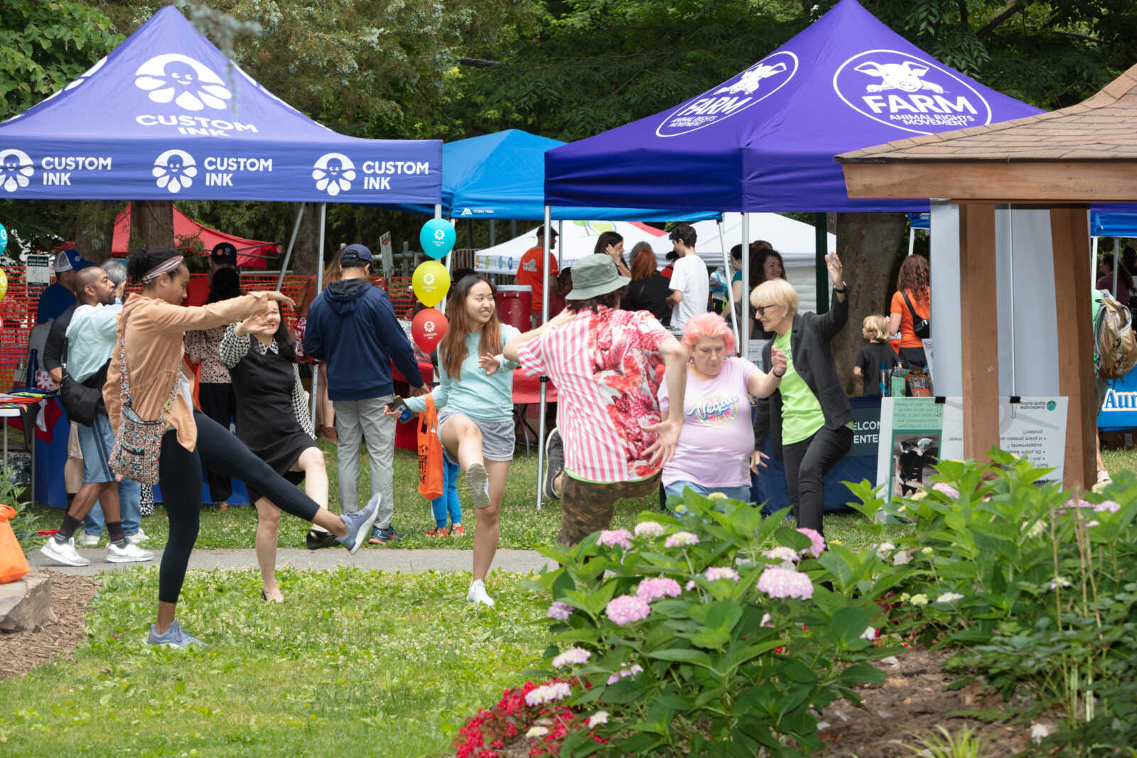 Plant-Based Food Festival Takes Place This Sunday - The MoCo Show