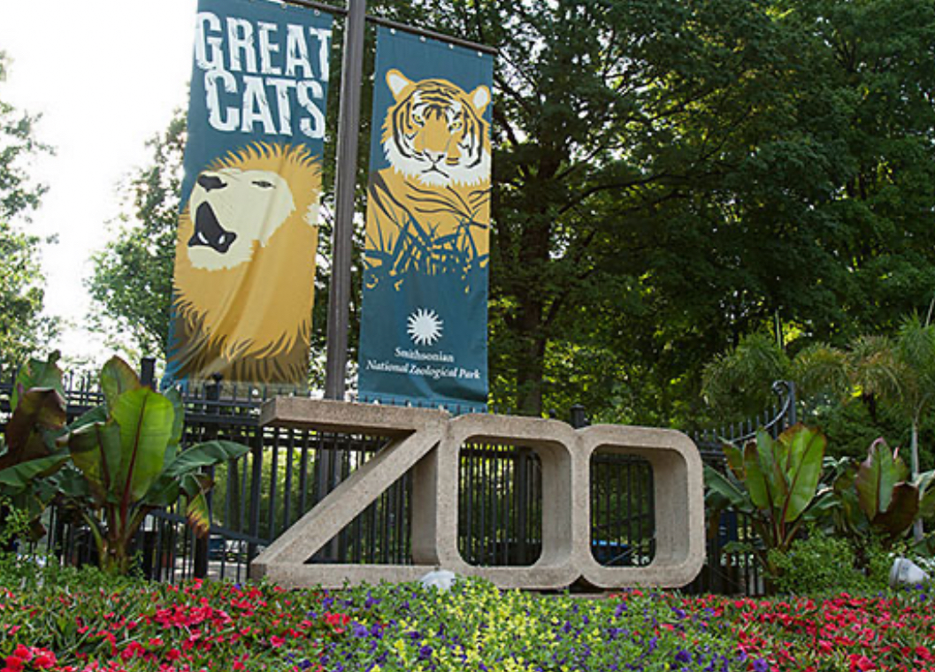 Smithsonian’s National Zoo to Welcome Two New Giant Pandas by End of ...